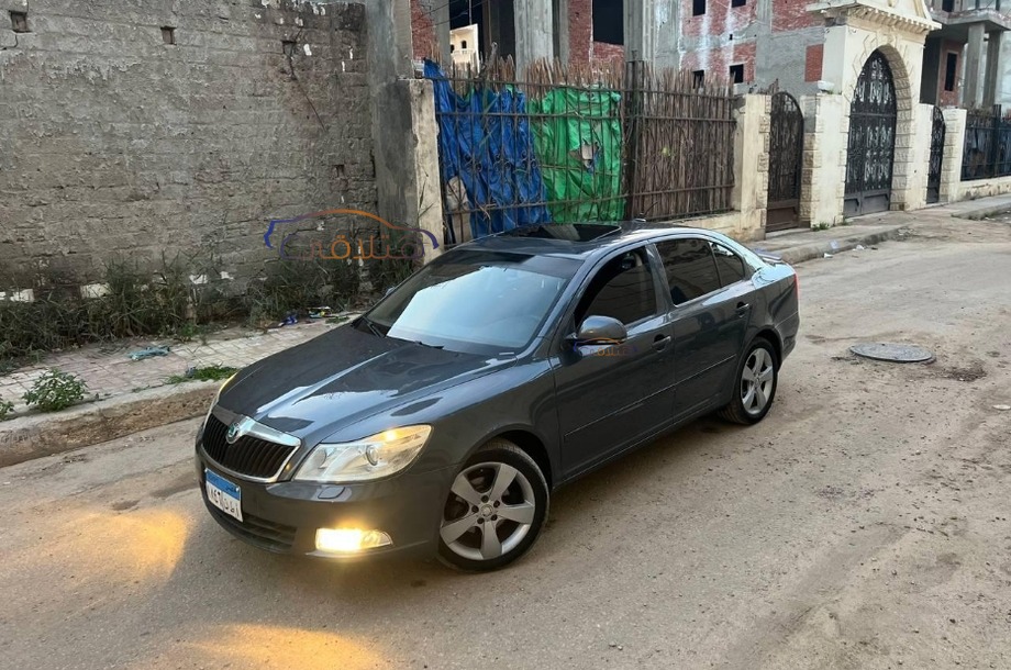 Fantasia Skoda 2012 Rosetta Gray 6421191 - Car for sale : Hatla2ee