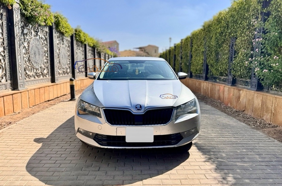 Superb Skoda 2018 Madinaty Silver 6440859 - Car for sale : Hatla2ee