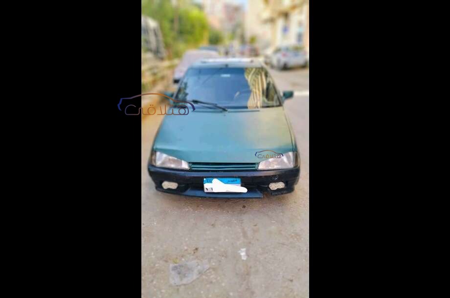 Ax Citroën 1996 Faiyum Green 6595875 - Car for sale : Hatla2ee