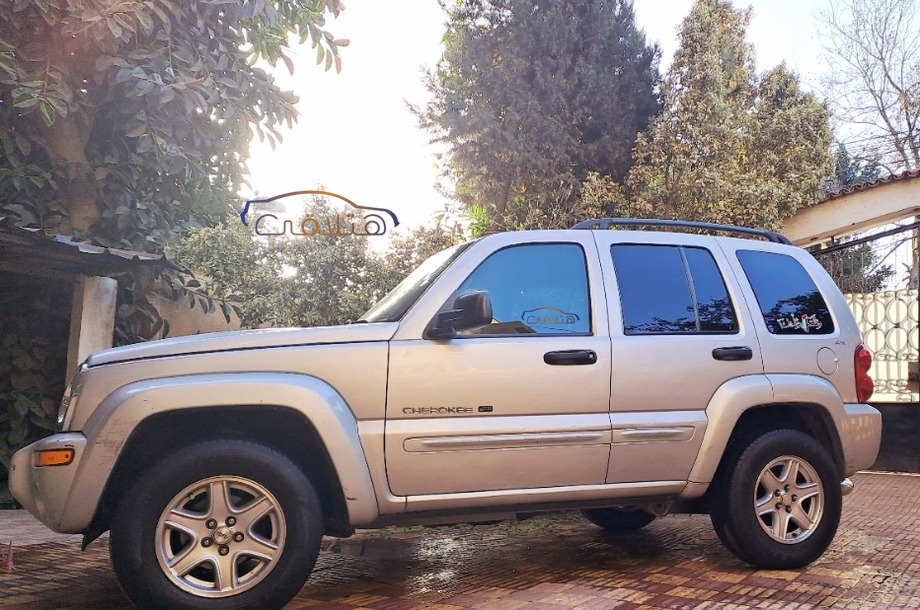Liberty Jeep 2002 Alexandria Silver 6671400 - Car for sale : Hatla2ee