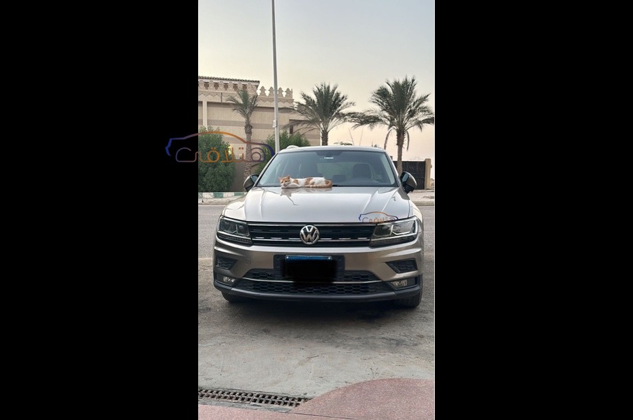 Tiguan Volkswagen 2020 6 October Gold 6739516 - Car for sale : Hatla2ee