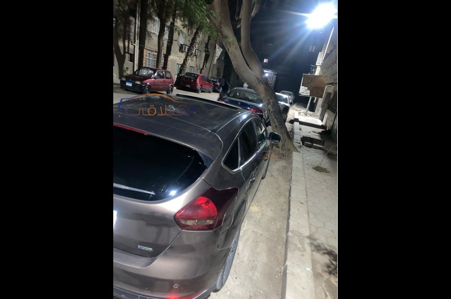 Focus Ford 2018 Giza Brown 6774043 - Car for sale : Hatla2ee