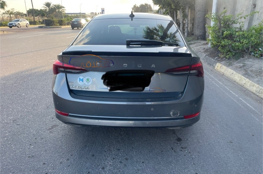 Octavia A8 Skoda 2022 Alexandria Gray 6863894 - Car for sale : Hatla2ee