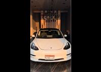 New Tesla prices Egypt 2024 - 2025 : Hatla2ee