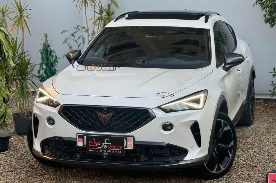 Formentor Cupra 2024 Heliopolis White 6926370 - Car for sale : Hatla2ee
