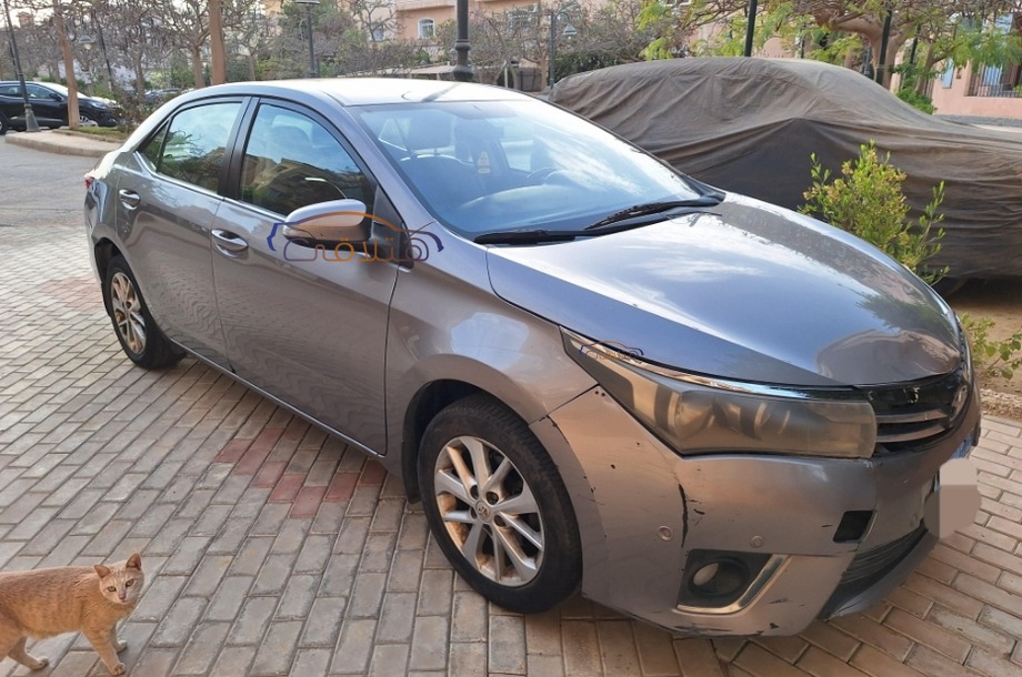 Corolla Toyota 2015 6 October Gold 6943595 - Car for sale : Hatla2ee