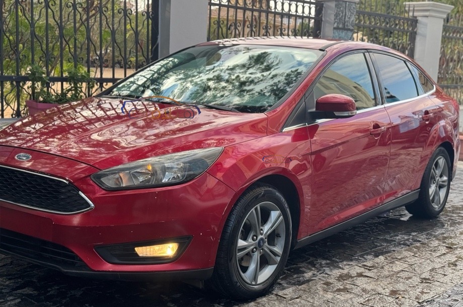 Focus Ford 2017 Sheikh Zayed City Dark red 6994001 - Car for sale ...