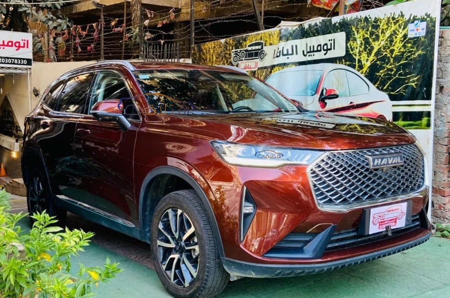 H6 Haval 2022 Heliopolis Brown 6995946 - Car for sale : Hatla2ee