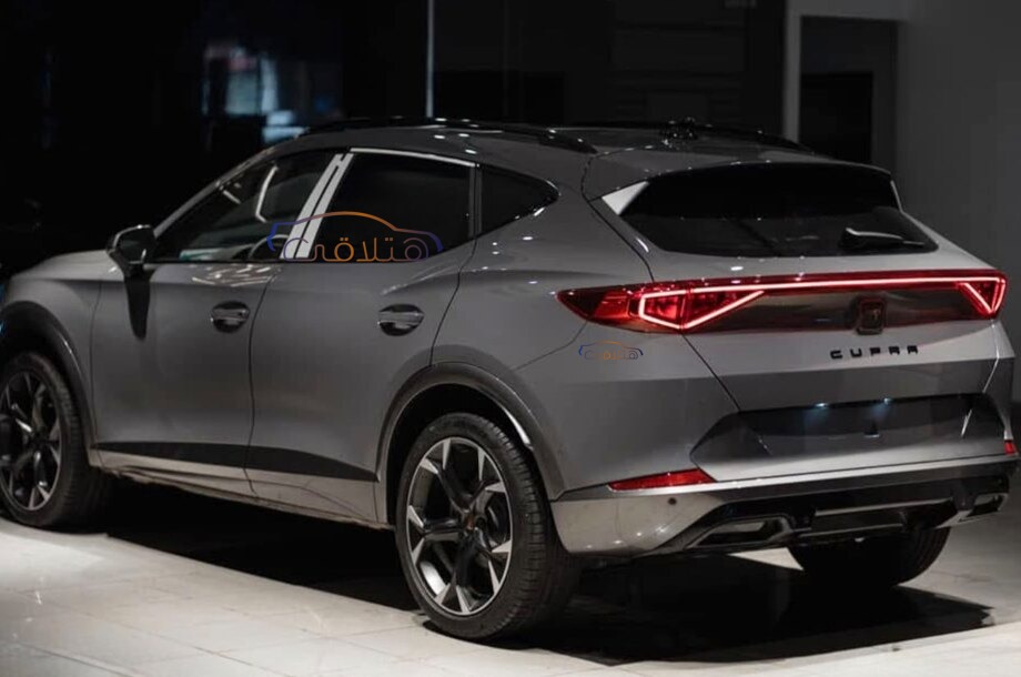 Formentor Cupra 2024 Tagamo3 - New Cairo Gray 7022339 - Car for sale ...