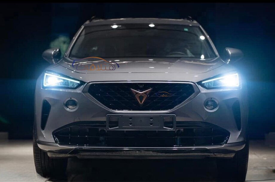 Formentor Cupra 2024 Tagamo3 - New Cairo Gray 7022339 - Car for sale ...