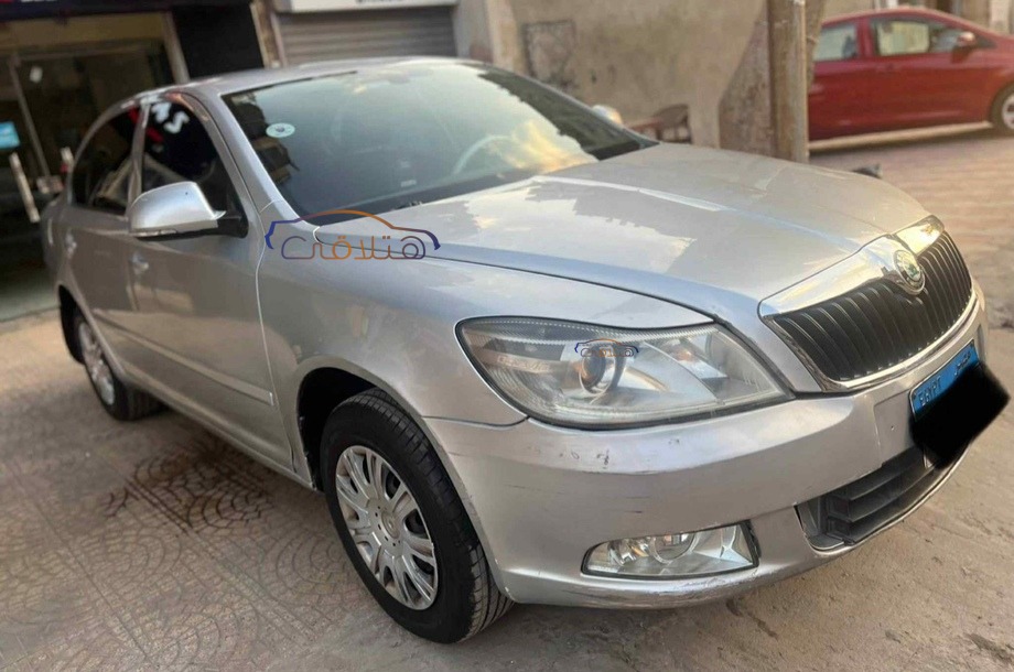 Fantasia Skoda 2012 Cairo Silver 7022899 - Car for sale : Hatla2ee